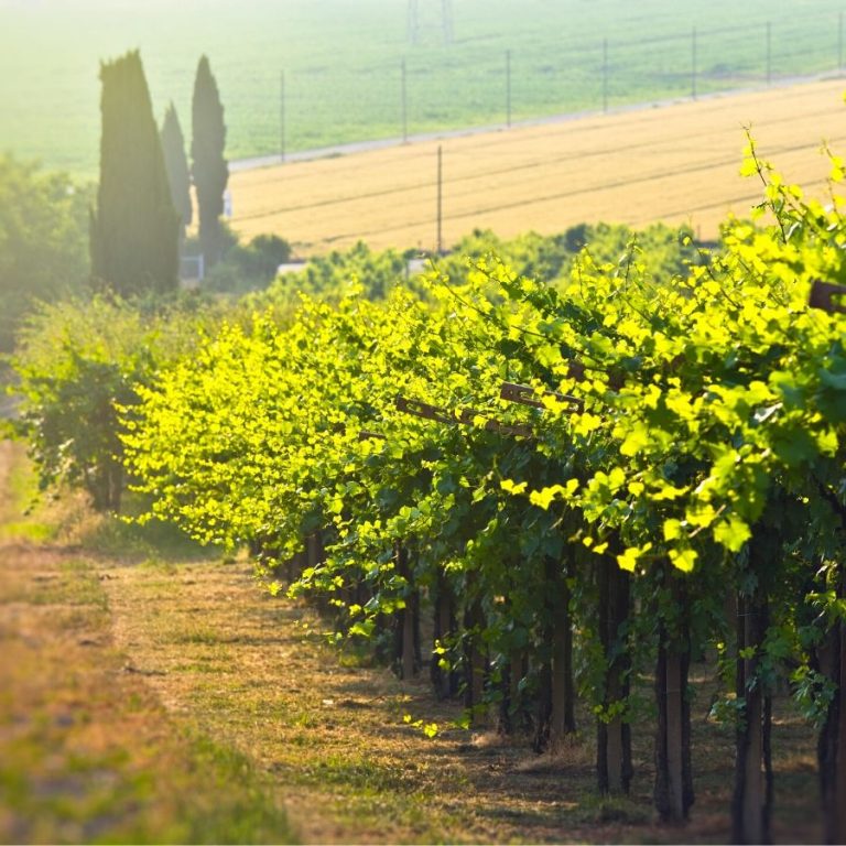 14 reasons why Italy is a good place to live - Casa Mia Tours