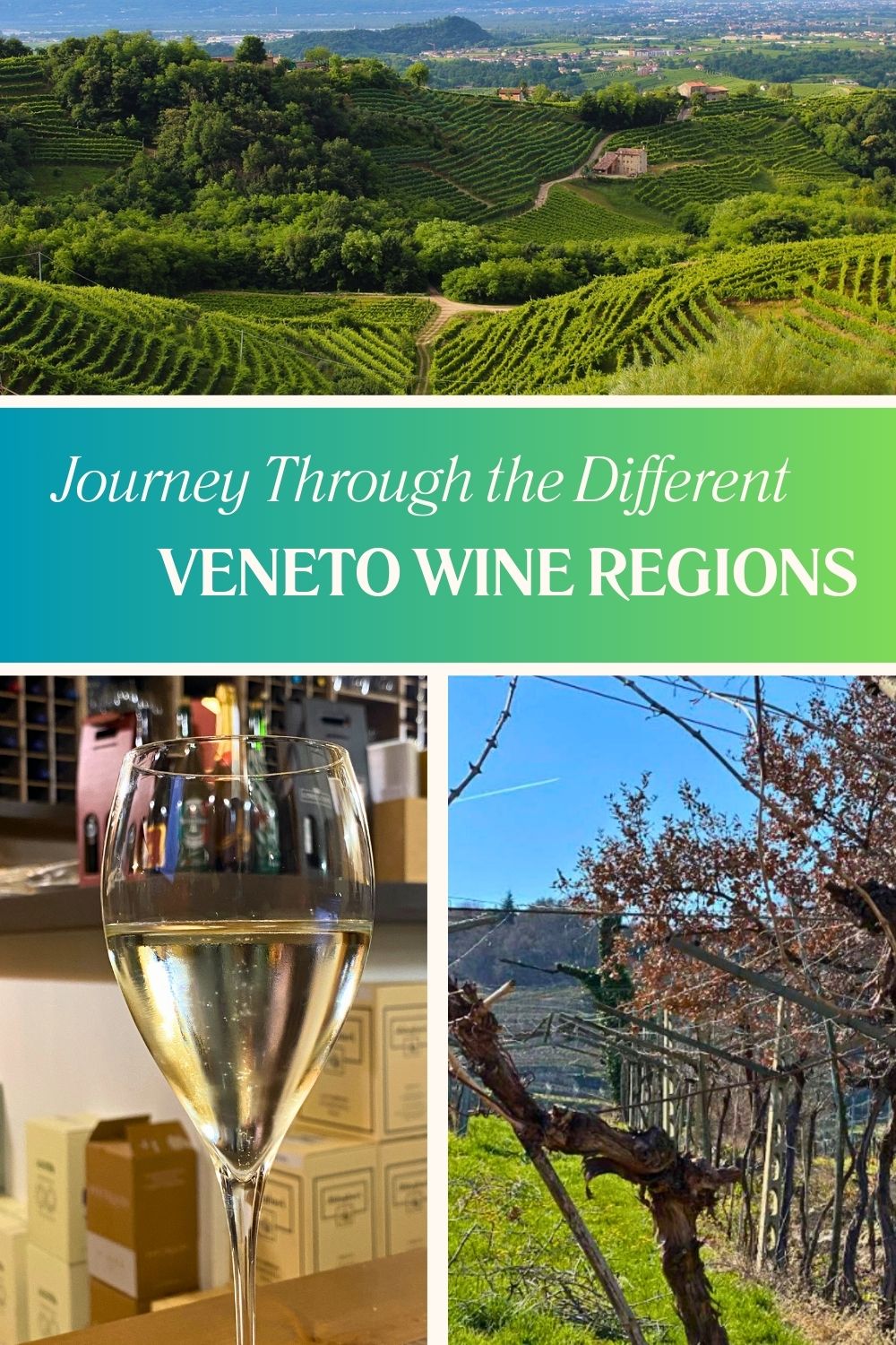 Casa Mia Tours | Blog | Journey Through the Veneto Wine Regions